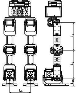 Energy Optimal Walk Of An 8 DOF Compliant Biped Robot