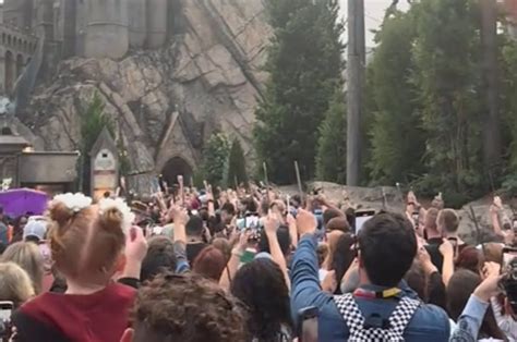 Wands Up For Dumbledore The World Tribute Honouring Sir Michael Gambon