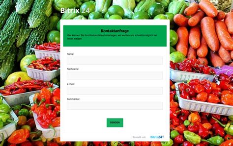 Bitrix24 Crm Customer Relationships Linxys Gmbh