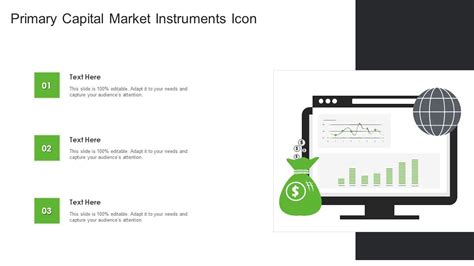 Primary Capital Market Instruments Icon Ppt PowerPoint Presentation