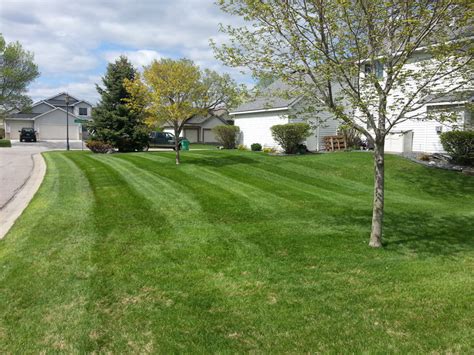Lawn Care Lawn Service Cb Services Maple Grove Minnesota
