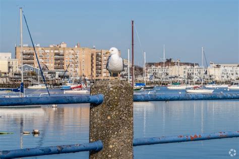 Sheepshead Bay Neighborhood Guide Living In Sheepshead Bay