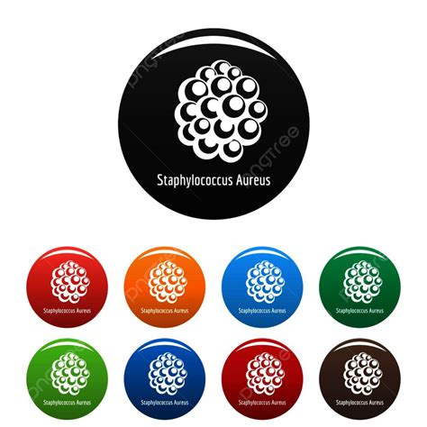 Colección De Conjunto De Iconos De Staphylococcus Aureus Png Microscópico Color Ciencias Png