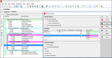 Primavera P6 Professional Quick Tips Setting Activity Table Graphics