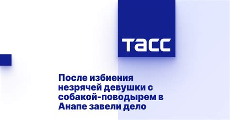После избиения незрячей девушки с собакой поводырем в Анапе завели дело