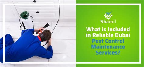 Keep Your Space Pest Free With Dubai Pest Control Maintenance Services
