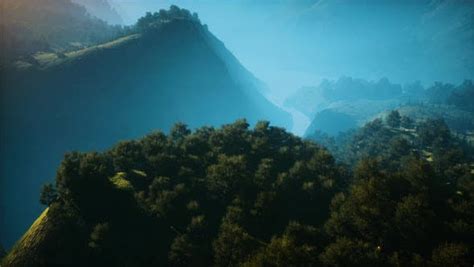 Royalty Free Tree Motion Graphics Envato Elements