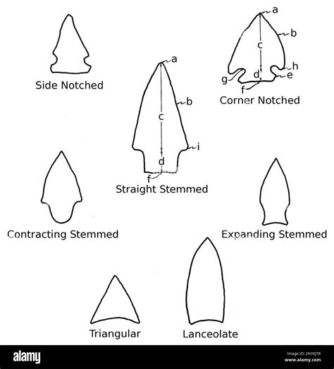 Projectile Puking Meaning At Brooke Fitzroy Blog