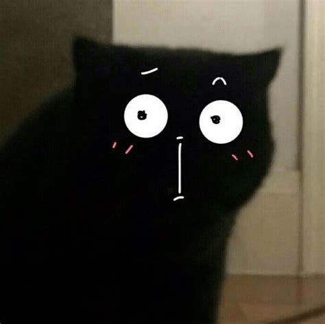 见过最有趣的名字是什么样的？？现在改来得及吗星星网络来源