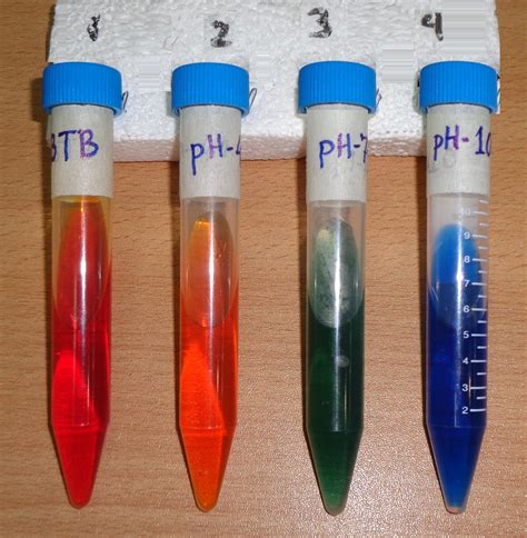 What Is The Original Color Of Bromothymol Blue Btb Researchgate