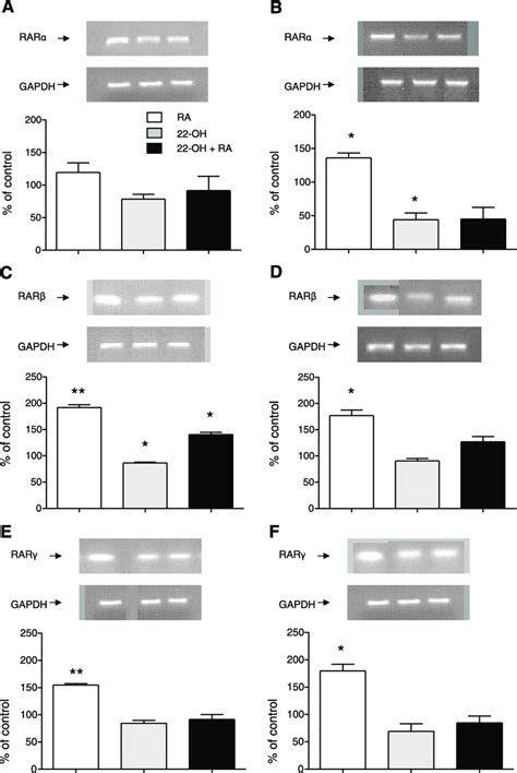 Effects Of Ra And 22 Oh On Rar Gene Expression In Caco 2 Cells Pcr