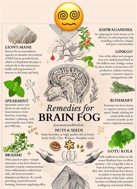 Remedies For Brain Fog Poster Us000215032 Healing Herbs Herbs Herbs