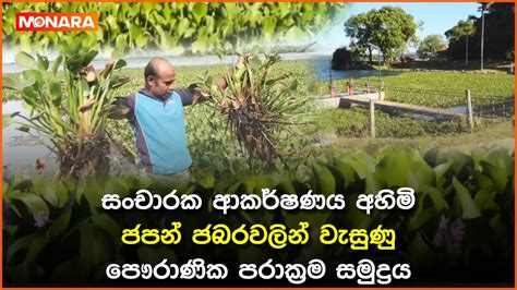 සංචාරක ආකර්ෂණය අහිමි ජපන් ජබරවලින් වැසුණු පෞරාණික පරාක්‍රම සමුද්‍රය Youtube