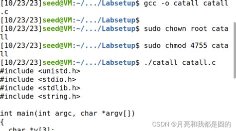 网络攻防 环境变量与setuidsetuid后环境变量怎么传递 Csdn博客