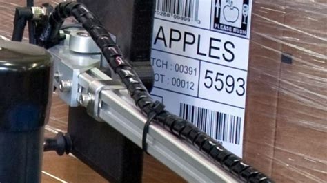 Sapply Es Smart Coding Technologies