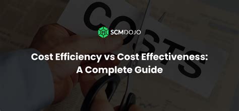 Cost Efficiency Vs Cost Effectiveness A Complete Guide Scmdojo