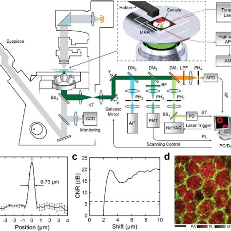 A A Schematic Illustration Of The Multimodality Microscopy System Download Scientific Diagram