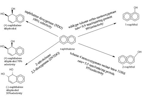 Alternative Processes For The Production Of Alpha Naphthol Naphthalene