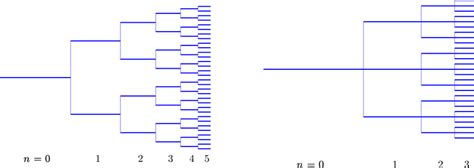 schematic representation of tree like networks with branching factor β