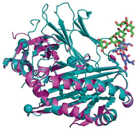 Researchers Turn To Deep Learning To Decode Protein Structures Pnas