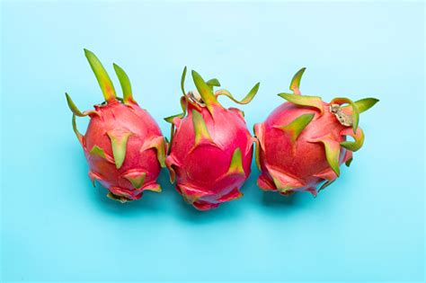 푸른 배경에 드래곤 과일 이나 피타야 맛있는 열대 이국적인 과일 과일에 대한 스톡 사진 및 기타 이미지 과일 떨어짐 라임 Istock