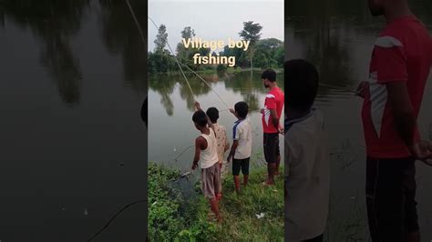 Village Fish Hunting By Hook । Desi Fish Video Youtube