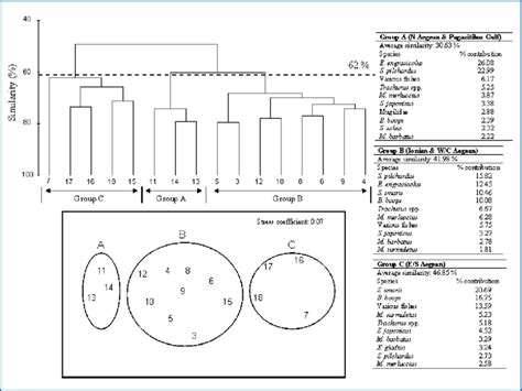 dendrogram group average clustering and multidimensional scaling