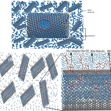 Schematic Representation Of A Dispersion Of Cnt In Water And B Download Scientific Diagram