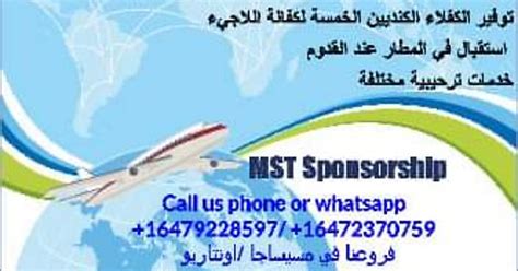 Imgur The Magic Of The Internet