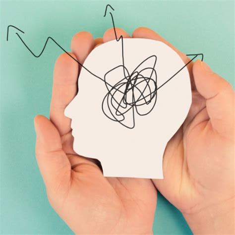 Boston University Center For The Study Of Traumatic Encephalopathy
