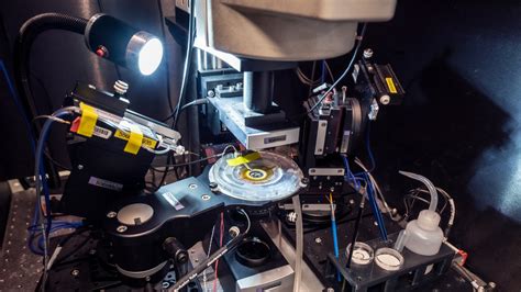 A Day In The Neuroscience Life Electrophysiology Allen Institute