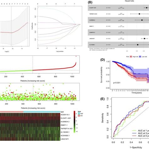 construction of a predictive risk model in bc a lasso regression of