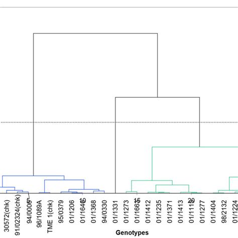 Dendrogram Wards Minimum Variance Clusters Showing The Relationship