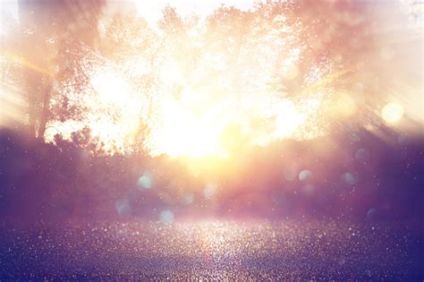 나무와 반짝이 골든 Bokeh 빛 가운데 빛 버스트 흐리게 추상 사진 0명에 대한 스톡 사진 및 기타 이미지 0명 가을