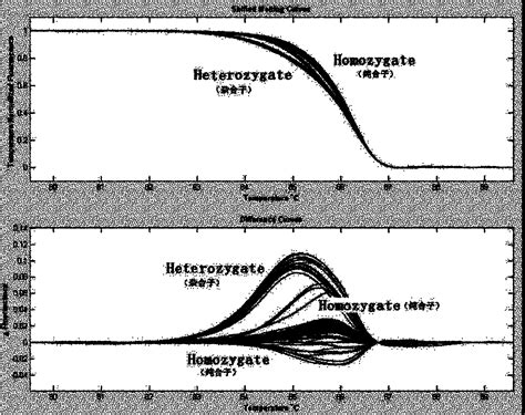 Epithelial Type Cadherin Expressed Gene Cdh1 Mutation Detection Kit And Application Thereof