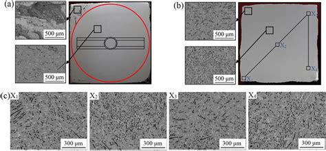 Macroscopic Morphology And Microstructure Of The Composites A Download Scientific Diagram