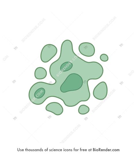 Free Lymphocyte T Cell Apoptosis Icons Symbols And Images Biorender