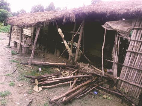 बारा र रौतहटको राजमार्ग देखि बस्ती सम्म जंगली हात्ती आतंक