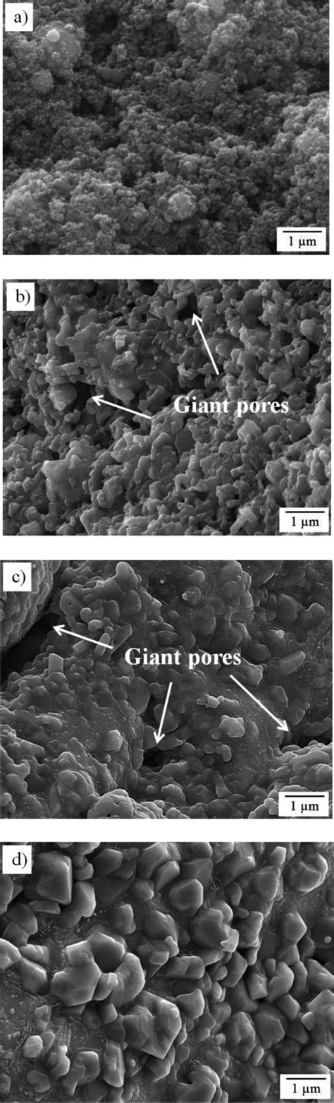 Sem Microstructures Of Sintered Porous Fe Cr Al Alloys A As Coated