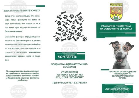 Община Костенец се включи в Програма за овладяване популацията на