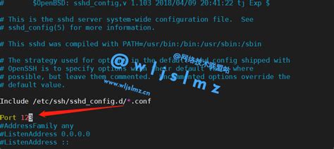 害怕linux Ssh不安全？这几个小妙招安排上！ 云社区 华为云
