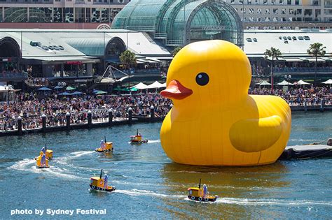 rubber duck just ordered my rubber duck it ll be here in 2 to 3