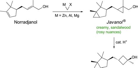 Present and Future of Cyclopropanations in Fragrance Chemistry Schröder Chemistry
