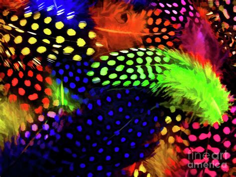 Feather Art 30 Photograph By D Hackett Fine Art America