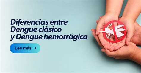 ¿cuál Es La Diferencia Entre Dengue Y Dengue Hemorrágico Atalab
