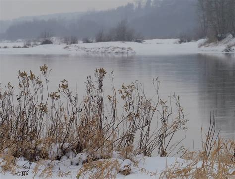Rzeki w Lubelskiem przekraczają stany ostrzegawcze