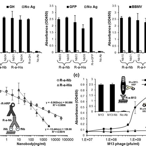 Evaluation Of Antisera Cross Reaction With Camel Igg And Nb Mixture