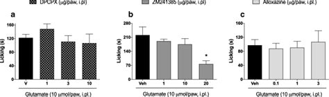 Effect Of Adenosine Receptor Antagonists In Glutamate Induced