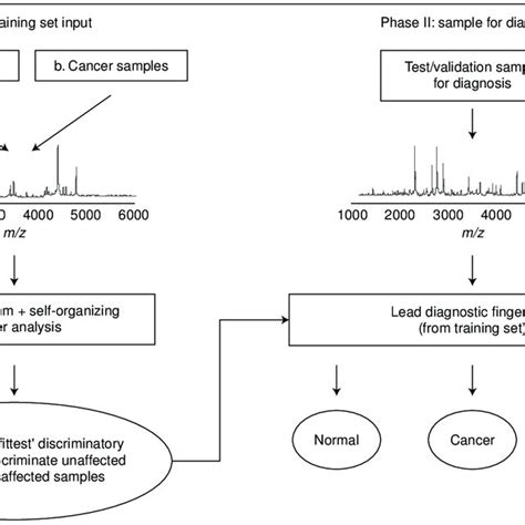 bioinformatic analysis of proteomic pattern spectra for the