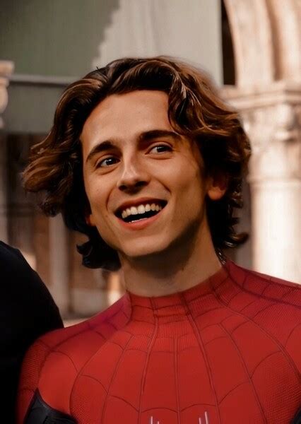 Fan Casting Timothée Chalamet As Spider Man [mceu] In The Spider Man